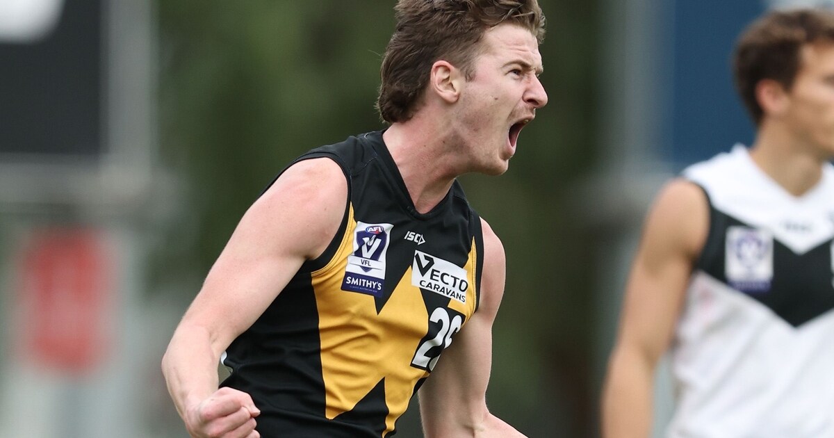 2024 Smithy's VFL Team of the Year squad