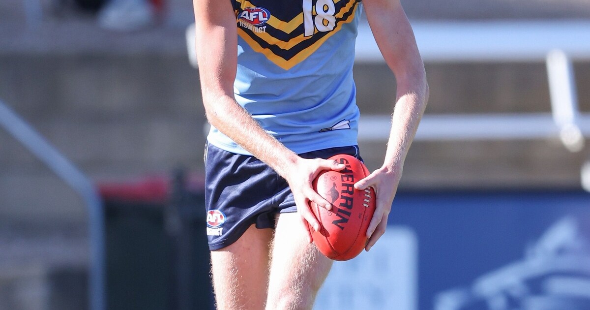 Official AFL Photo Galleries - AFL.com.au