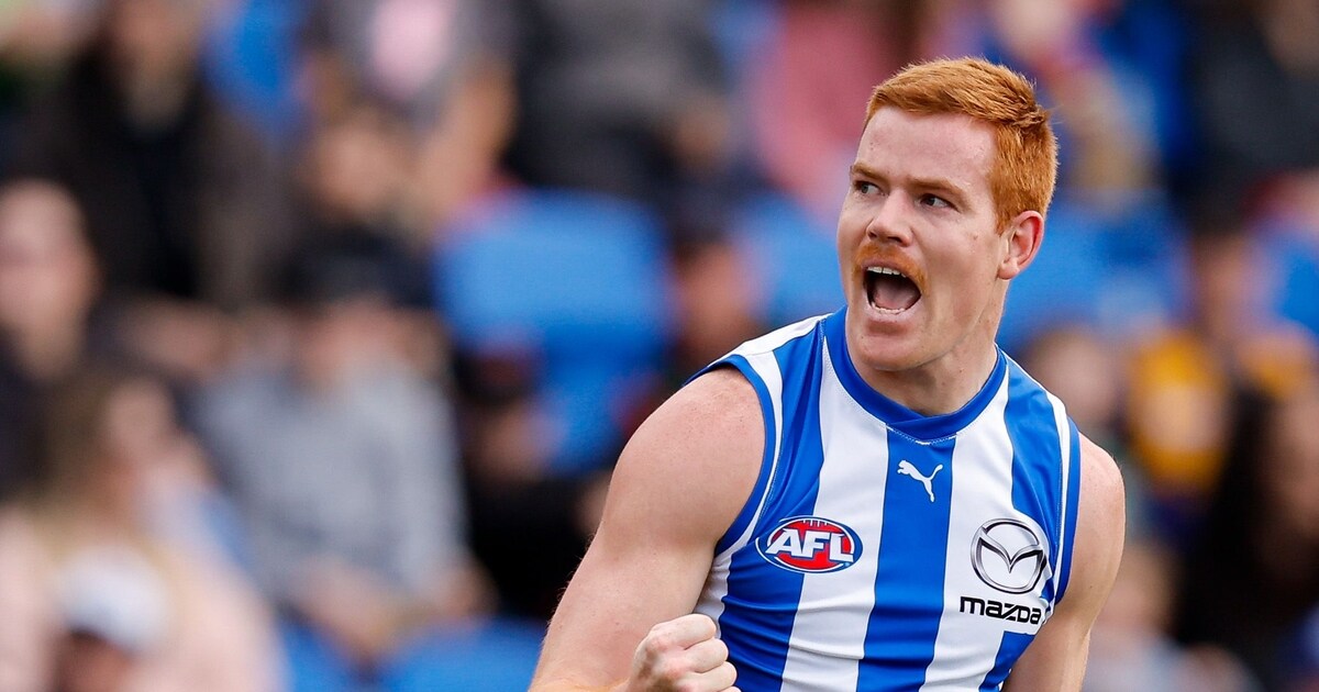 North Melbourne Kangaroos cut swingman Toby Pink but commit to rookie ...