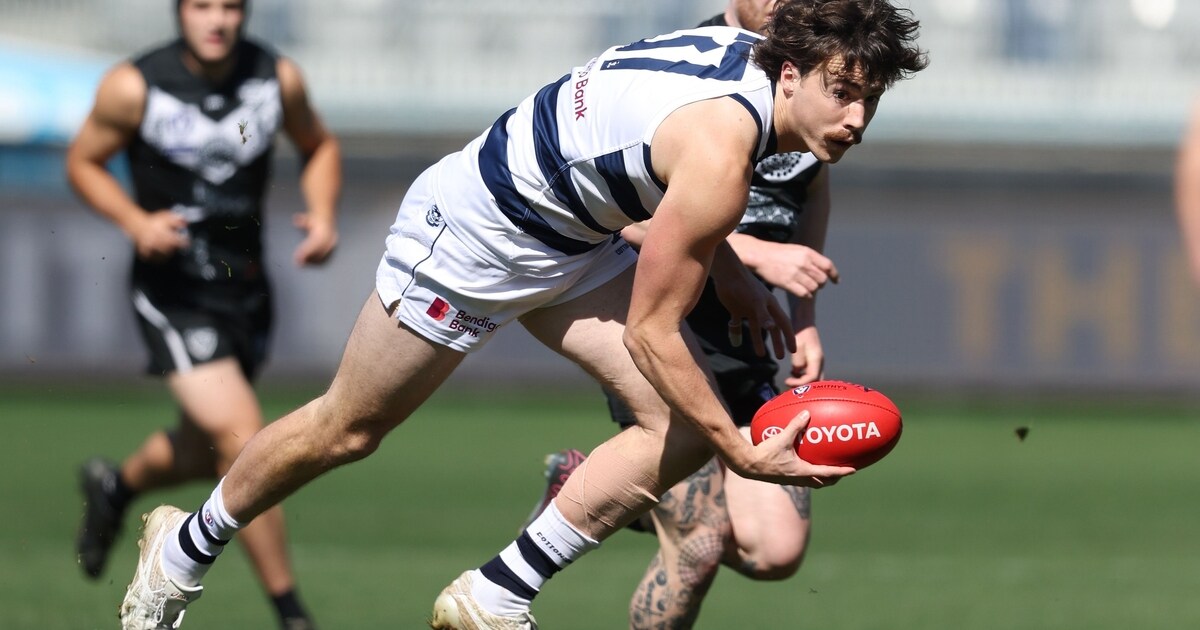 Geelong Cats delist untried Category B rookie Joe Furphy