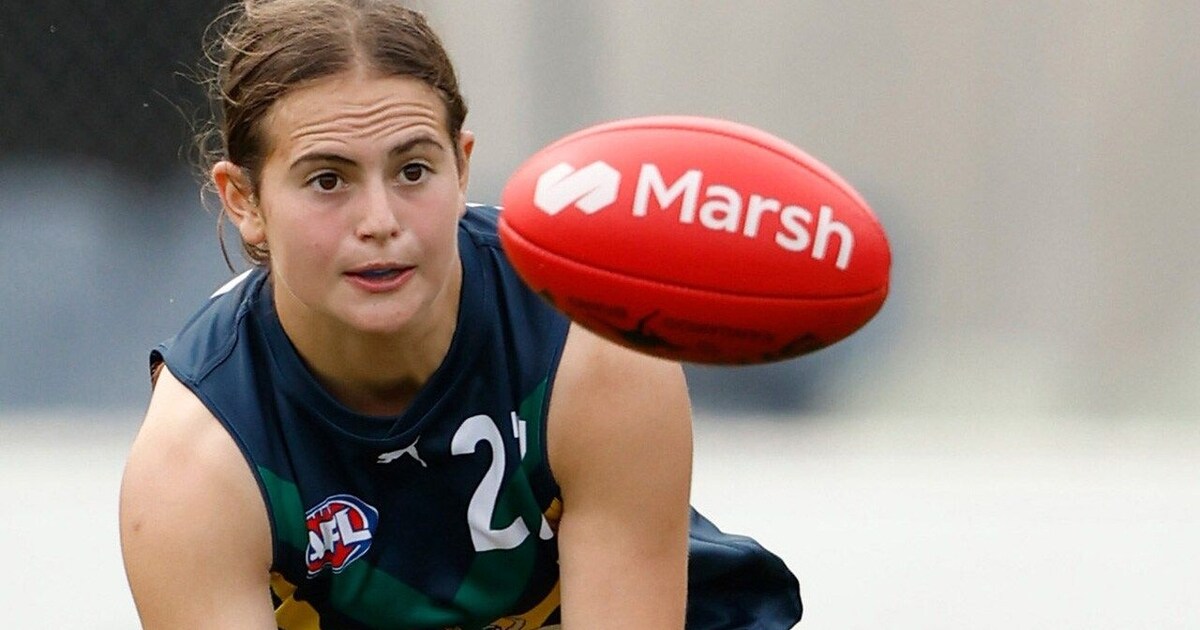 Scouting Report: India Rasheed