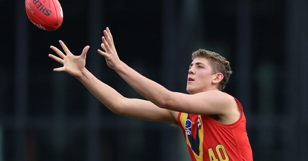 Meet the basketball convert Alex Dodson putting up extraordinary numbers