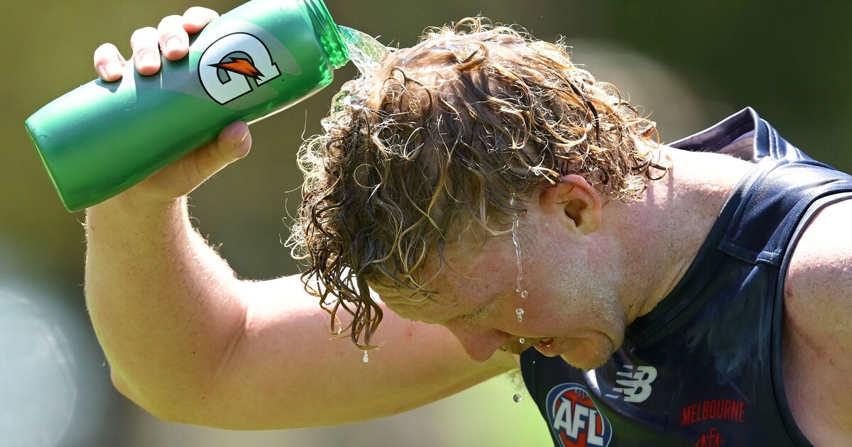 Official AFL Photo Galleries - AFL.com.au