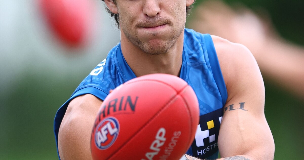 Official AFL Photo Galleries - AFL.com.au