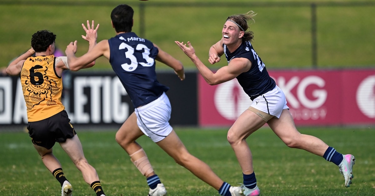 Official AFL Photo Galleries - AFL.com.au