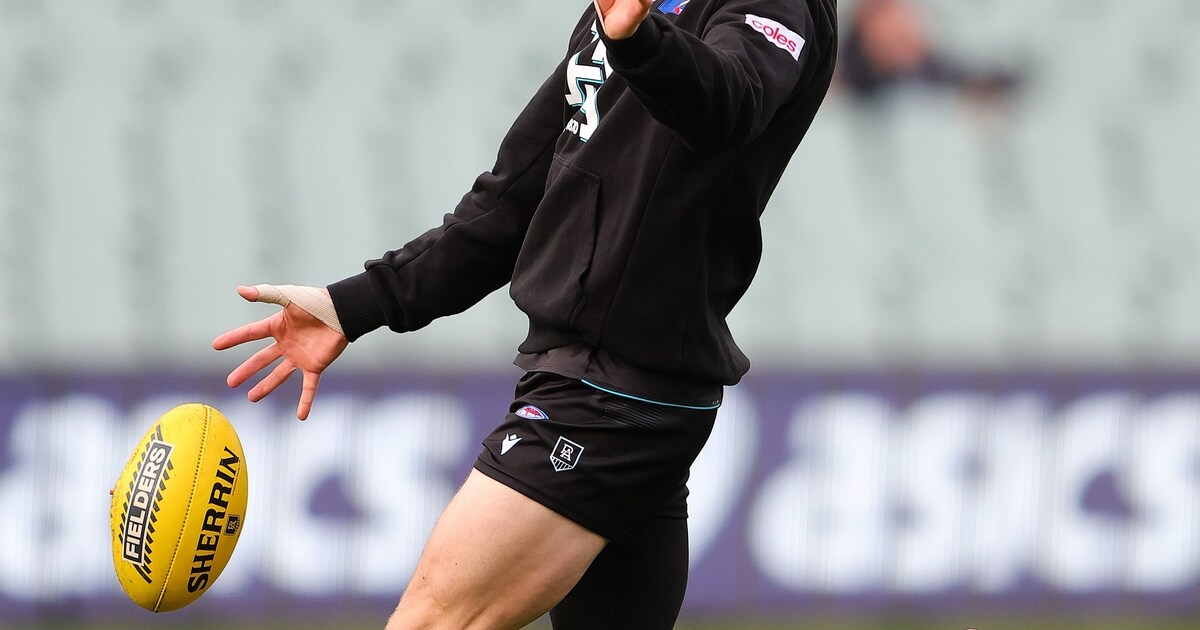 Official AFL Photo Galleries - AFL.com.au