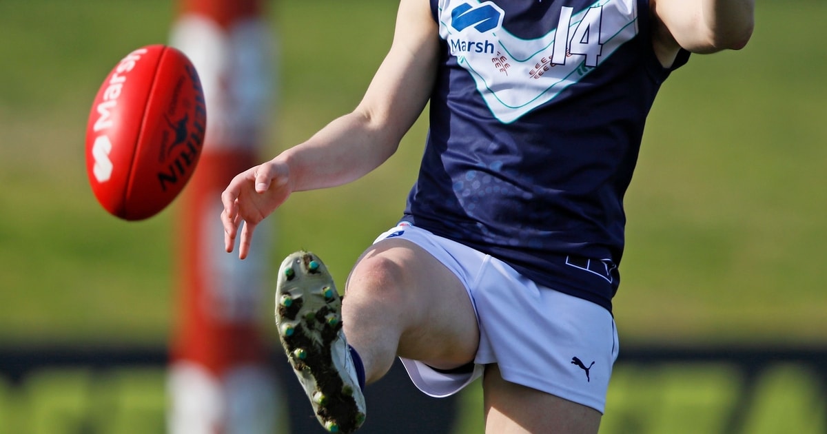 Official AFL Photo Galleries - AFL.com.au