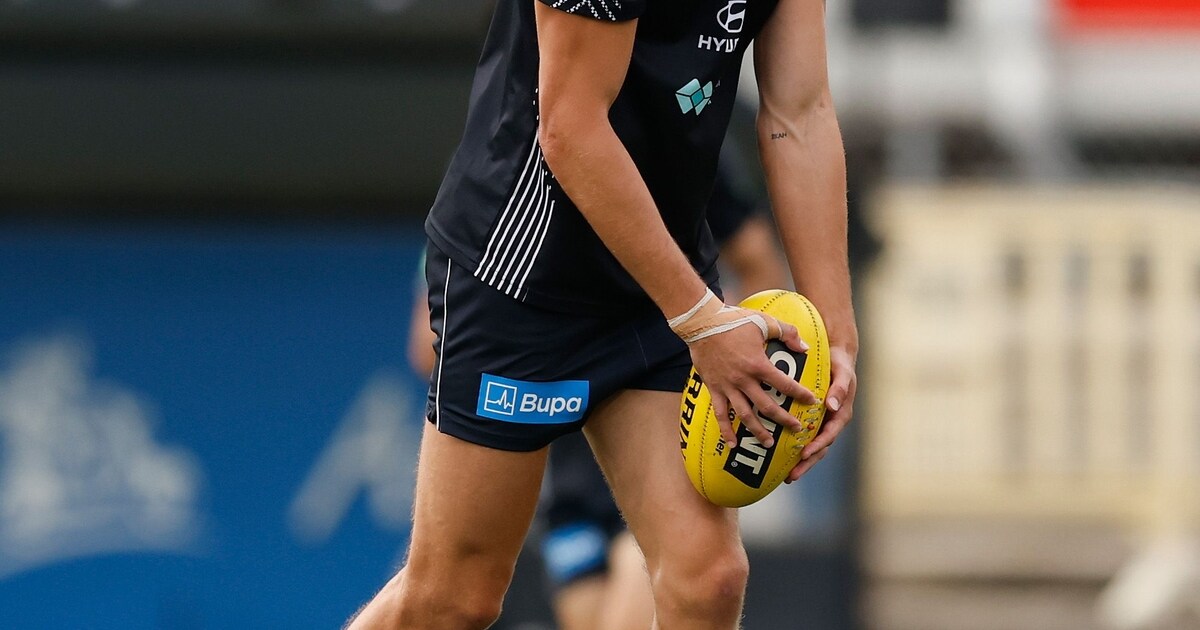 Official AFL Photo Galleries - AFL.com.au